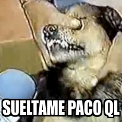Meme Personalizado - Sueltame paco Ql - 31223447