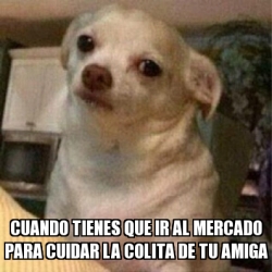 Meme Personalizado - Cuando tienes que ir al mercado para cuidar la ...