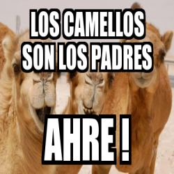 Meme Personalizado - LOS CAMELLOS SON LOS PADRES AHRE ! - 31234779