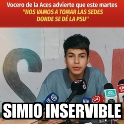 Meme Personalizado - SIMIO INSERVIBLE - 31235926