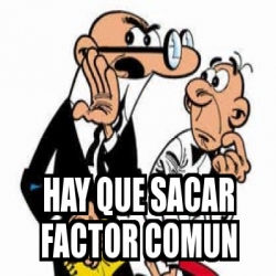 Meme Personalizado - Hay que sacar factor comun - 31237210