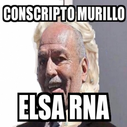 Meme Personalizado - CONSCRIPTO MURILLO ELSA RNA - 31237360