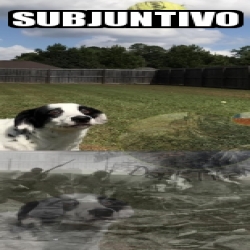 Meme Personalizado - Subjuntivo - 31244475