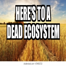 Meme Personalizado - Here's to a dead ecosystem - 31244768