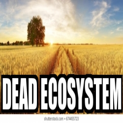 Meme Personalizado - dead ecosystem - 31244771