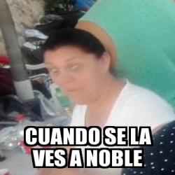 Meme Personalizado - CUANDO SE LA VES A NOBLE - 31245383