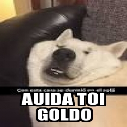 Meme Personalizado - auida toi goldo - 31246028