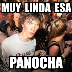 Meme Sudden Realization Ralph - Muy linda esa PANOCHA - 31247123
