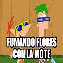 Meme Personalizado - fumando flores con la mote - 31247240