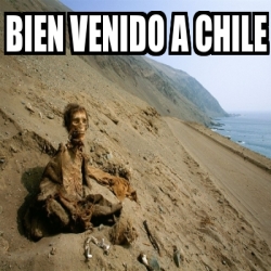 Meme Personalizado - bien venido a chile - 31248194