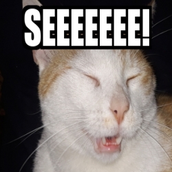 Meme Personalizado - seeeeeee! - 31249093