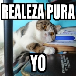 Meme Personalizado - Realeza pura Yo - 31254659