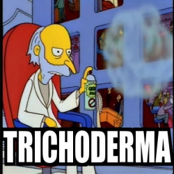 Meme Personalizado - TRICHODERMA - 31264672