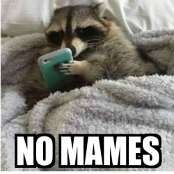 Meme Personalizado - no mames - 31273732