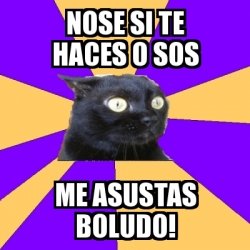 Meme Anxiety Cat - Nose si te haces o sos Me asustas boludo! - 31280307