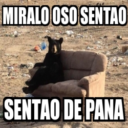 Meme Personalizado - miralo oso sentao sentao de pana - 31287188