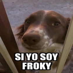 Meme Personalizado - Si yo soy Froky - 31289656