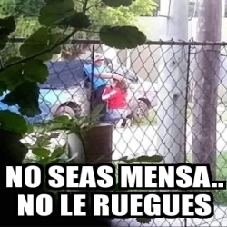 Meme Personalizado - No seas mensa.. no le ruegues - 31290592