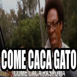 Meme Personalizado - come caca gato - 31295556