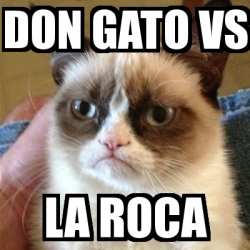 Meme Grumpy Cat - Don gato vs La roca - 31299729