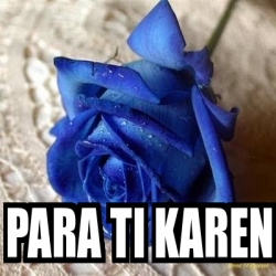 Meme Personalizado - Para ti KAREN - 31299991