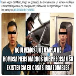 Meme Personalizado - AquÃ­ vemos un ejemplo de Homosapiens machos que ...