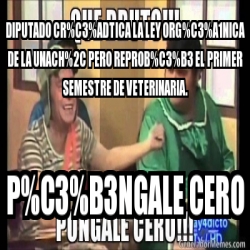 Meme Personalizado - Diputado cr%C3%ADtica la Ley Org%C3%A1nica de la ...
