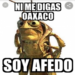 Meme Personalizado - Ni me digas Oaxaco Soy Afedo - 31314563