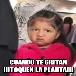 Meme Personalizado - cuando te gritan !!!toquen la planta!!! - 31315130