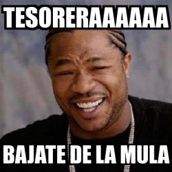 Meme Yo Dawg - Tesoreraaaaaa Bajate de la mula - 31317560