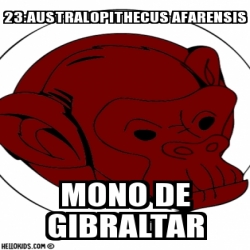 Meme Personalizado - 23:australopithecus afarensis Mono de gibraltar ...