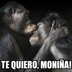 Meme Personalizado - Te quiero, moniÃ±a! - 31325476