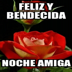 Meme Personalizado - Feliz y Bendecida Noche Amiga - 31330008
