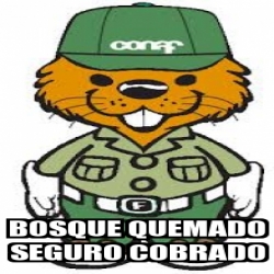 Meme Personalizado - bosque quemado seguro cobrado - 31336241