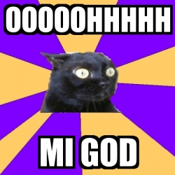 Meme Anxiety Cat - ooooohhhhh mi god - 31336365