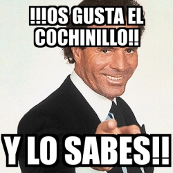 Meme Julio Iglesias - !!!Os gusta el cochinillo!! y lo sabes!! - 31336624