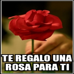 Meme Personalizado - Te regalo una rosa para ti - 31338235