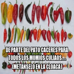 Meme Personalizado - DE PARTE DEL PATO CACERES PARA TODOS LOS MOMIOS ...