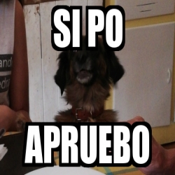 Meme Personalizado - Si po Apruebo - 31352327