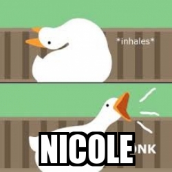 Meme Personalizado - Nicole - 31363084