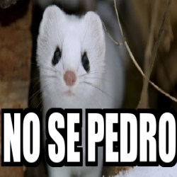 Meme Personalizado - no se pedro - 31365383