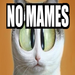 Meme Personalizado - no mames - 31369587