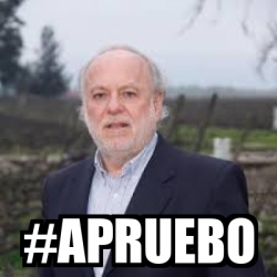Meme Personalizado - #Apruebo - 31374219