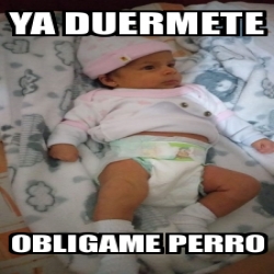 Meme Personalizado - Ya duermete Obligame perro - 31374403