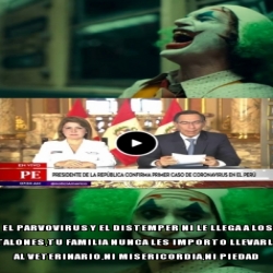 Meme Personalizado - EL PARVOVIRUS Y EL DISTEMPER NI LE LLEGA A LOS ...