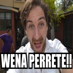 Meme Personalizado - wena perrete!! - 31376976