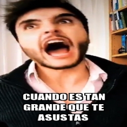 Meme Personalizado - CUANDO ES TAN GRANDE QUE TE ASUSTAS - 31378342