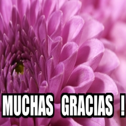 Meme Personalizado - Muchas gracias ! - 31379700