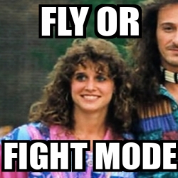 Meme Personalizado - Fly or Fight Mode - 31382581