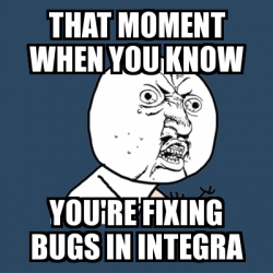 Meme Y U No - that moment when you know you're fixing bugs in integra ...